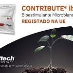 Contribute ibN: O primeiro bioestimulante microbiano com registo europeu - Agriterra ...