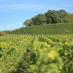 Parlamento Europeu aprova revisão da PAC na UE - Agriterra - Informação ...