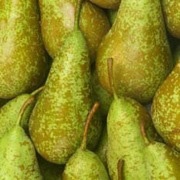 Pera conference - Distribución Hortofrutícola - Pera conference