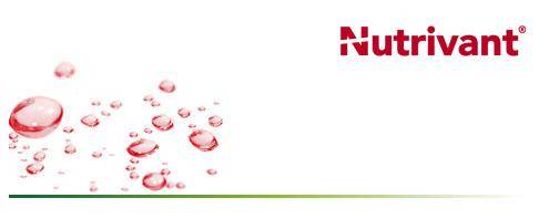 Fertilizantes Everris Nutrivant - Horticultura - Fertilizantes