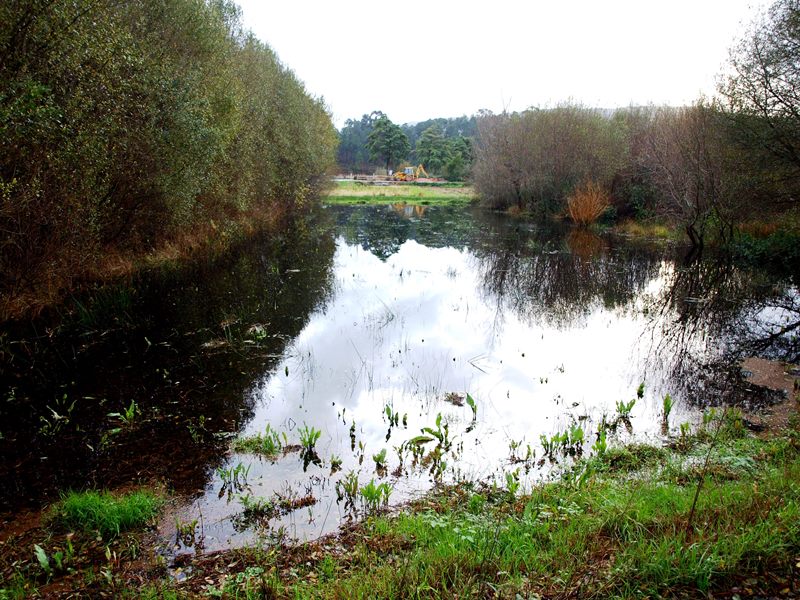 Sobre a importância dos charcos - O Instalador - Informação ...