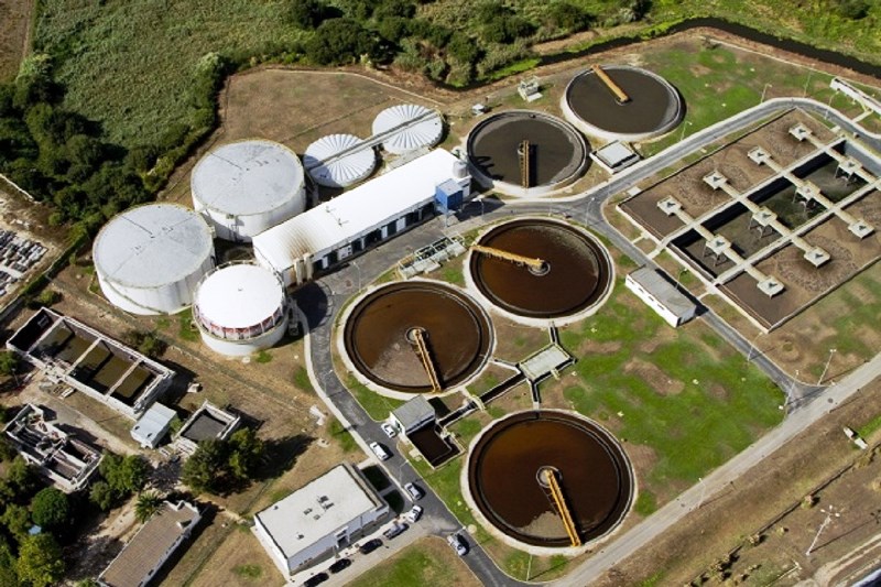 Estudo alerta para a necessidade de se avaliar a presença de vírus em ...