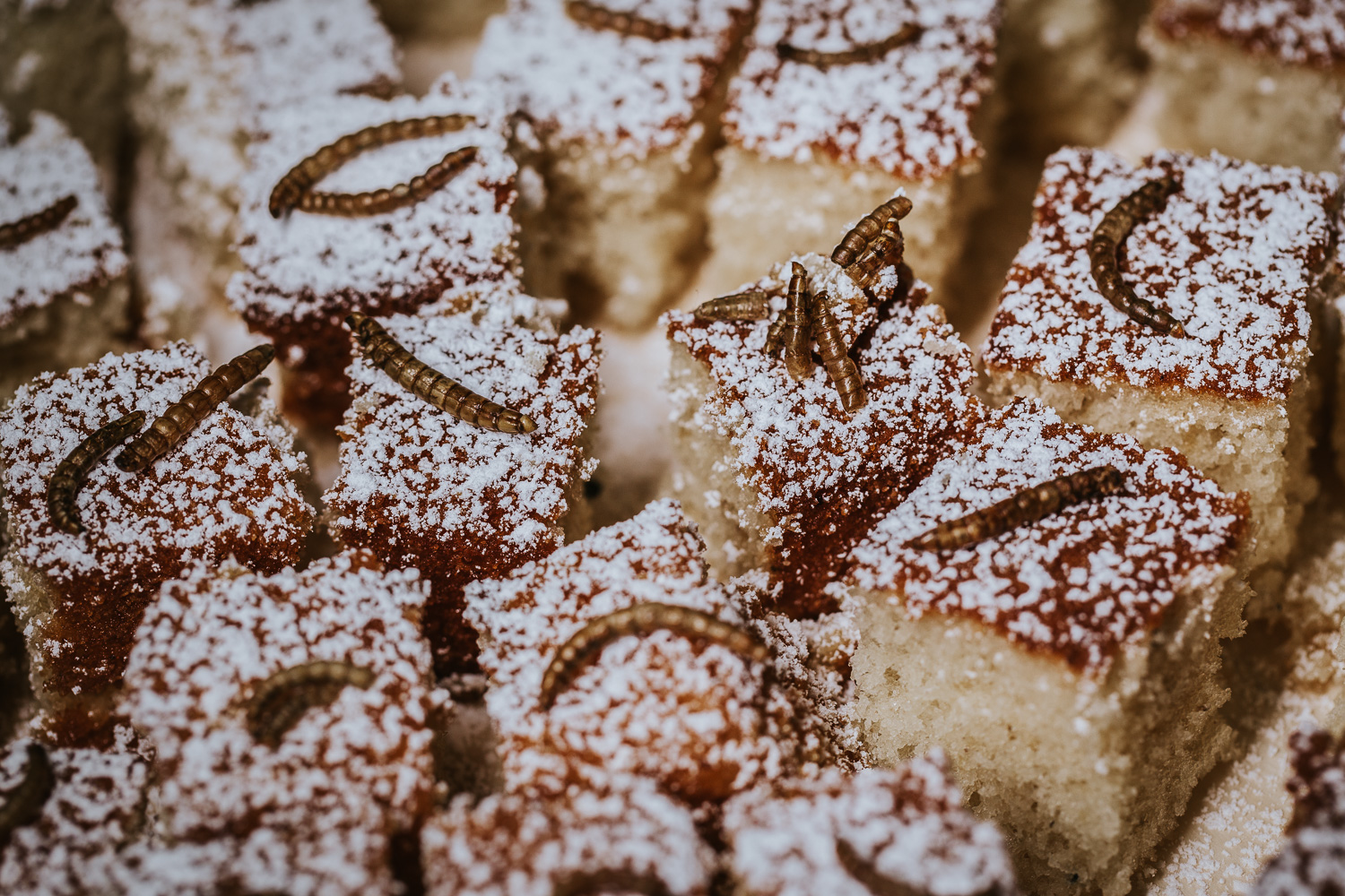 Thunder Foods prepara-se para lançar produtos no mercado já este ano ...