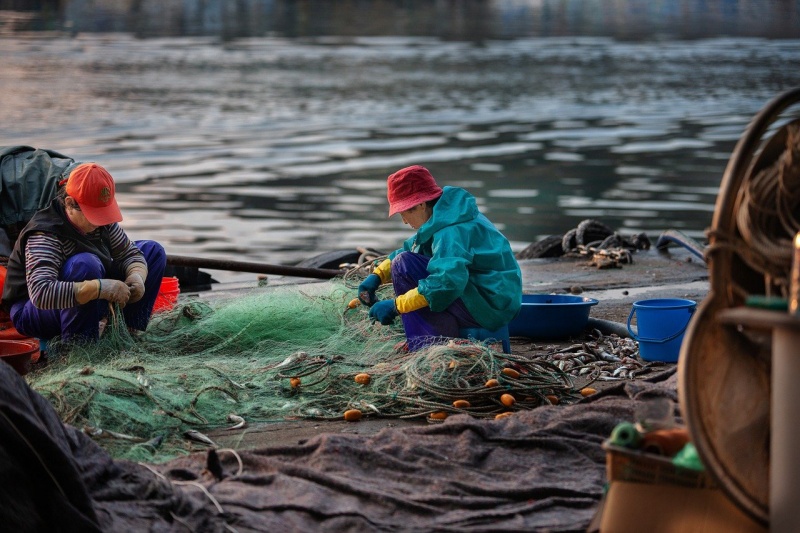 MSC quer melhorar práticas de sustentabilidade nas pescas - iAlimentar ...