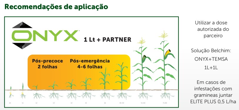Belchim Crop Protection: uma gama completa de herbicidas para o milho ...