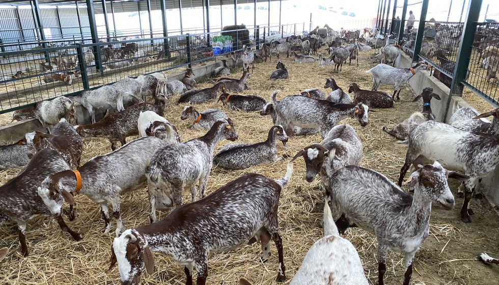 Andalucía destina 6,67 millones de euros específicos para la crisis del ...