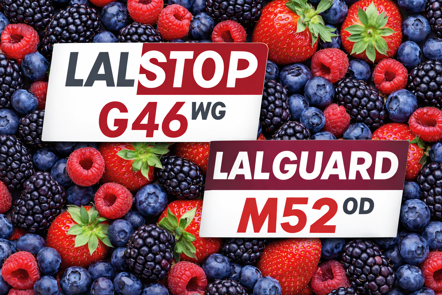 Massó Agro: la innovación y liderazgo en microorganismos beneficiosos ...